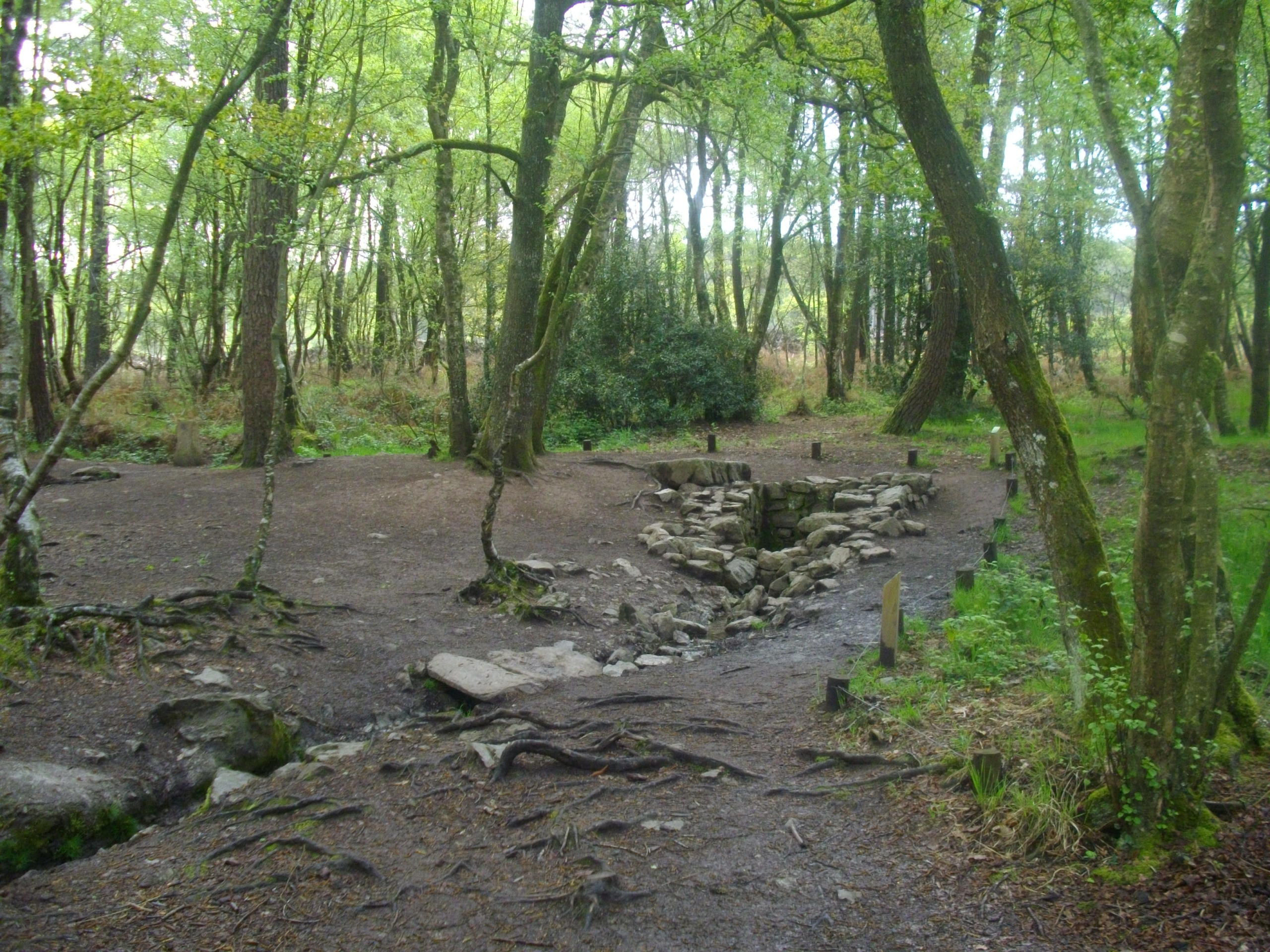 Forêt de Brocéliande : Forêt mythique et bucolique